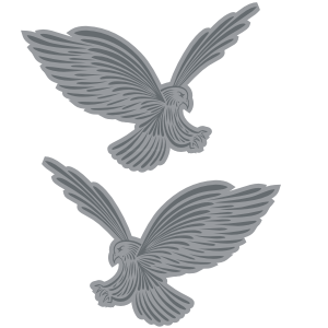 DecalZone, Outline Style Order Form